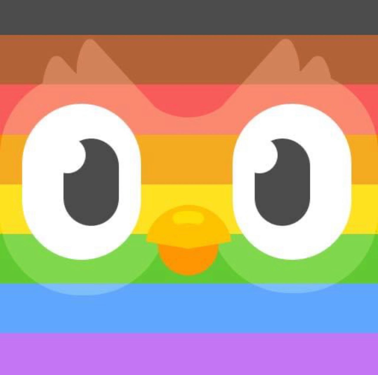 Duolingo pinta su logo de colores; LGBTfóbicos no soportan y les ...