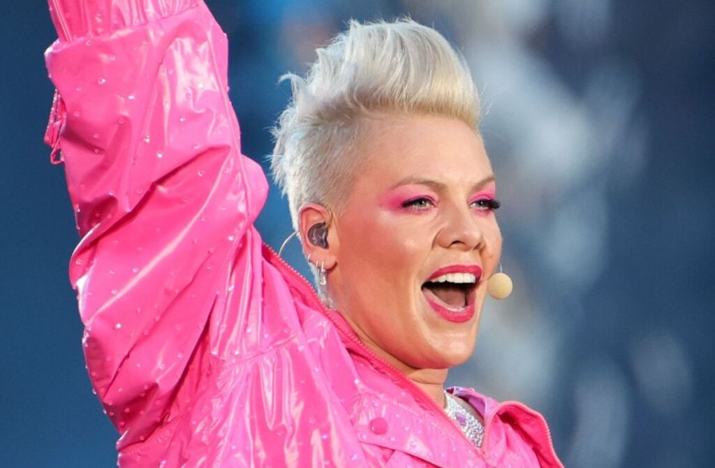 Pink entregará libros LGBTQ que fueron prohibidos en sus shows de ...