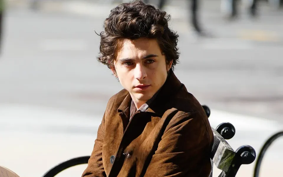 ¿Timothée Chalamet es el favorito para el Óscar como Mejor Actor? Aquí ...